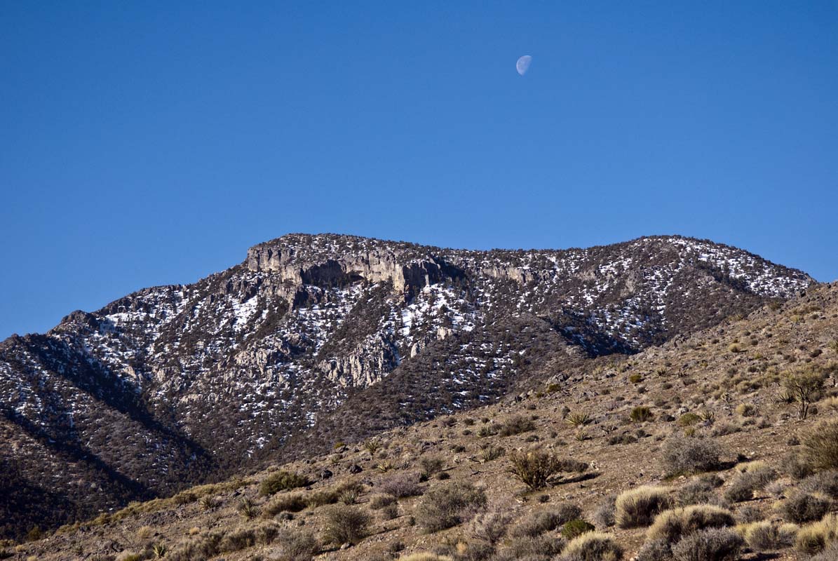 Southern Nevada Outside: Mt Stirling WSA