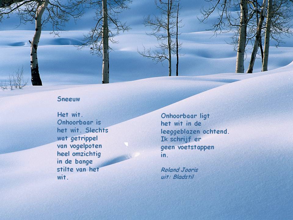 NATUUR mijn PASSIE - NATURE and POETRY: Uit de oude doos: