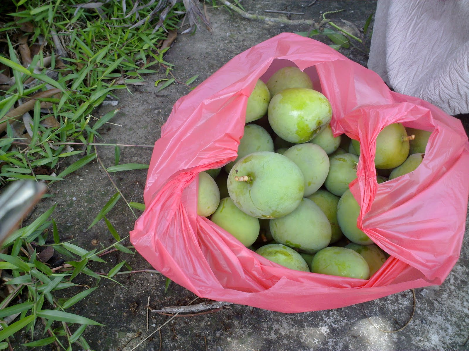 JUSTIFFA: Crazeee Sunday