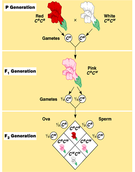 My Heart My Soul My Happiness My Sufferness
