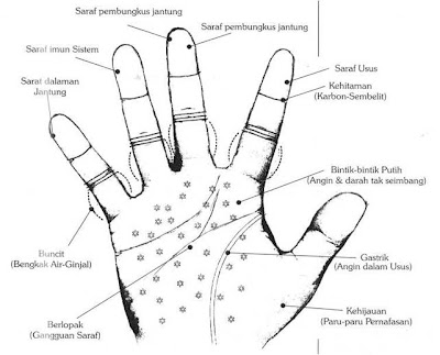RAWATAN ALTERNATIF: DIAGNOSIS TAPAK TANGAN