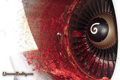 Juruteknik HANCUR disedut Enjin Jet 737-500 [10 Gamba]