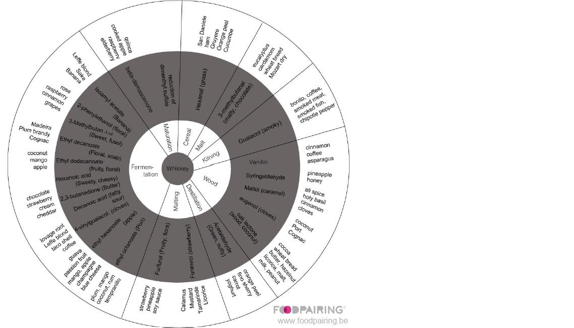 Flavor Wheels Help You Describe the Taste of Everything (Party Trick!)