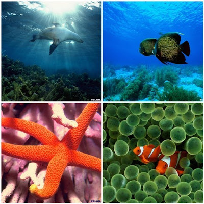 Theme Styles: June 2009