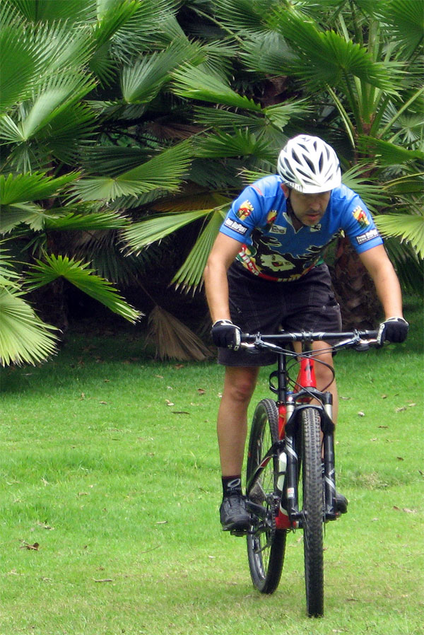 P29BR - Projeto 29 Brasil: P29BR 29ER TEST / Specialized Epic Comp 29 ...