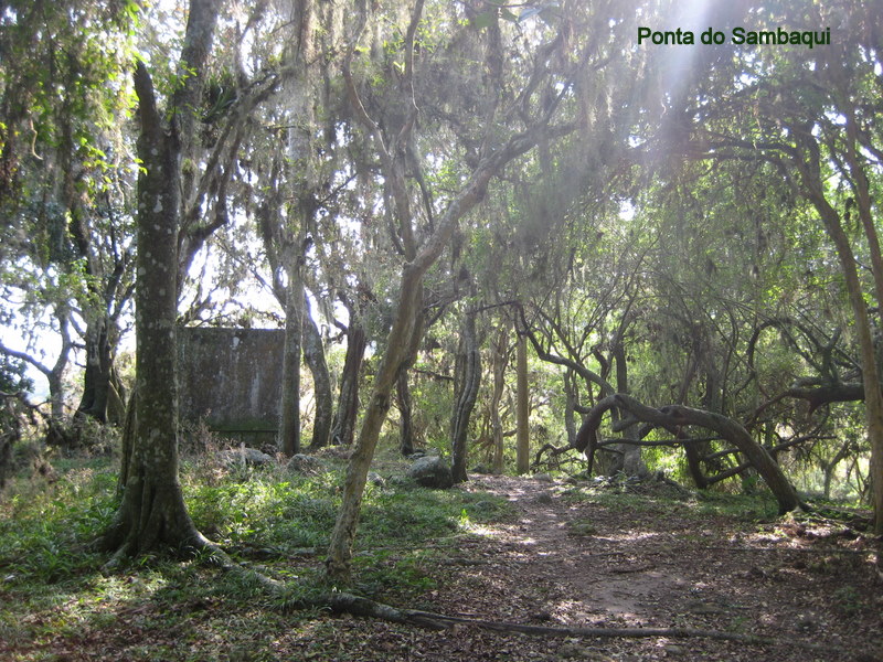De Bike pela Ilha: Sambaqui D - Ponta do Sambaqui