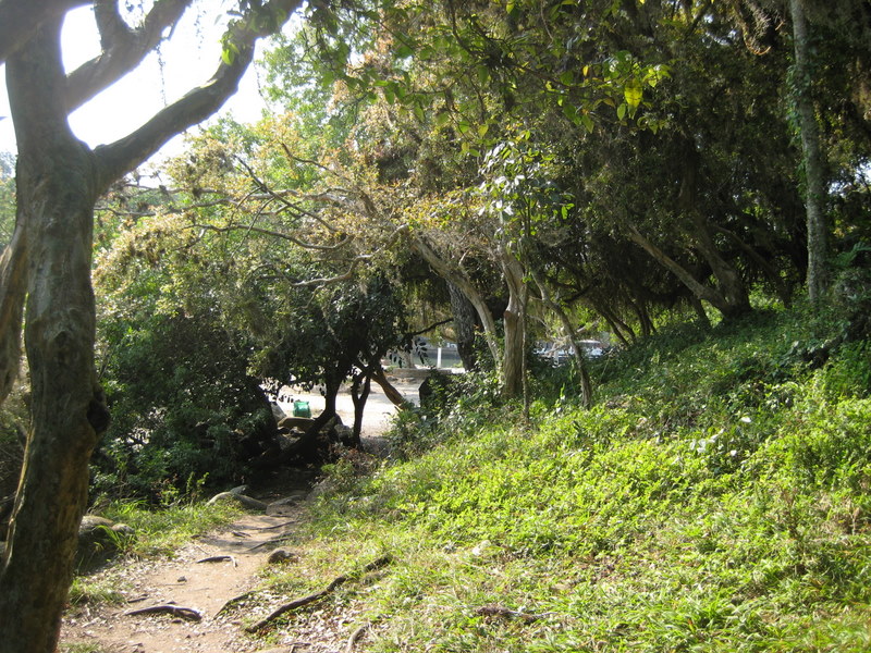 De Bike pela Ilha: Sambaqui E