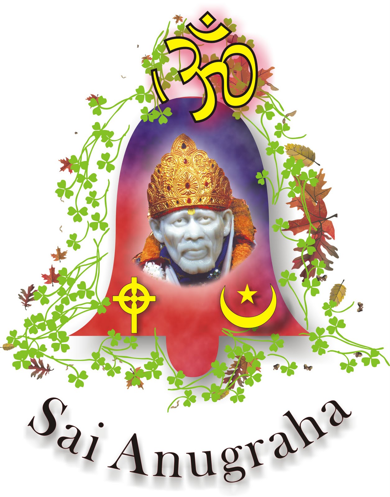 SAI ANUGRAHA: 2010 - Activities at a glance