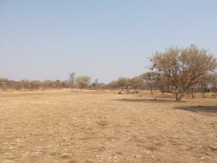 From Wanderings Abroad: The Worst Golf Course in the World (Probably)