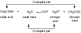 Study Palace: Conjugate acid and base