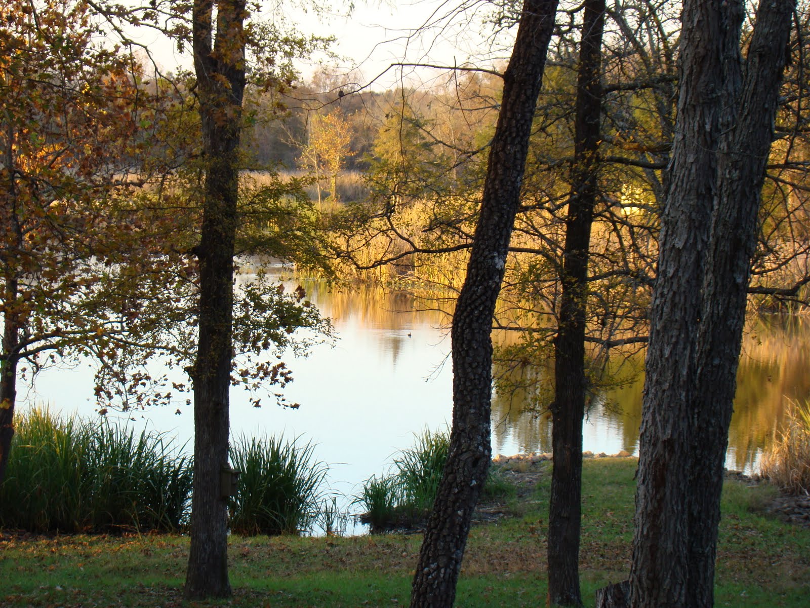 Travel with Us: 23 Day Fall Trip