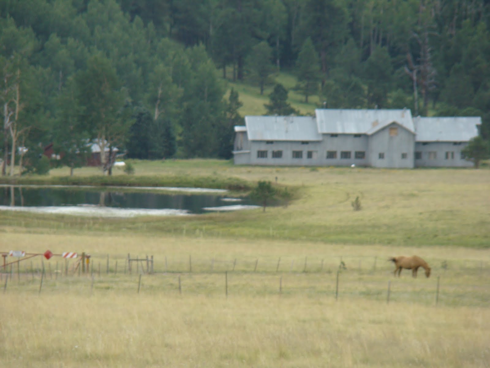 Travel with Us: Costilla Trip - Rio Costilla and the Valle Vidal