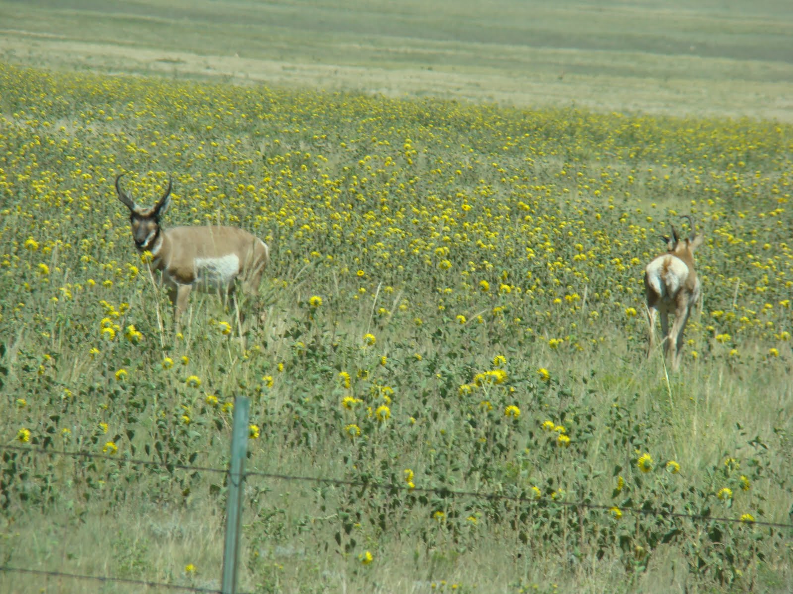 Travel with Us: Yet Another CIrcular Tour