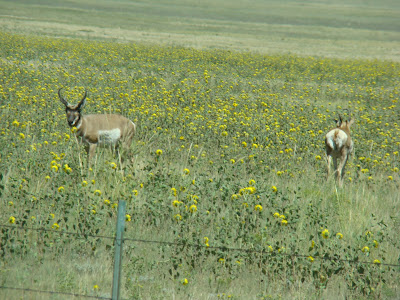 Travel with Us: Yet Another CIrcular Tour