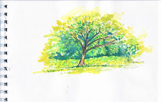 aidirahimi.blogspot.com: Pepohon Damai