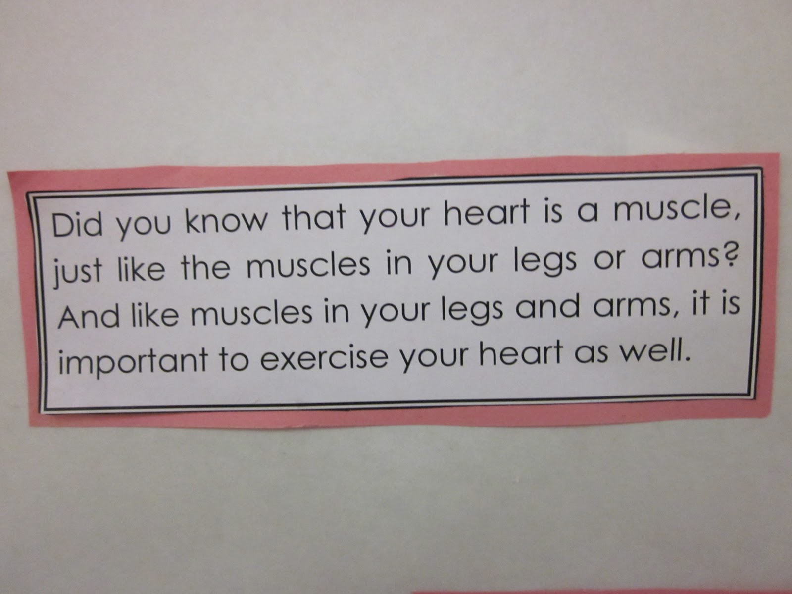 Gym Culture at USF: Fun Heart Healthy Facts.