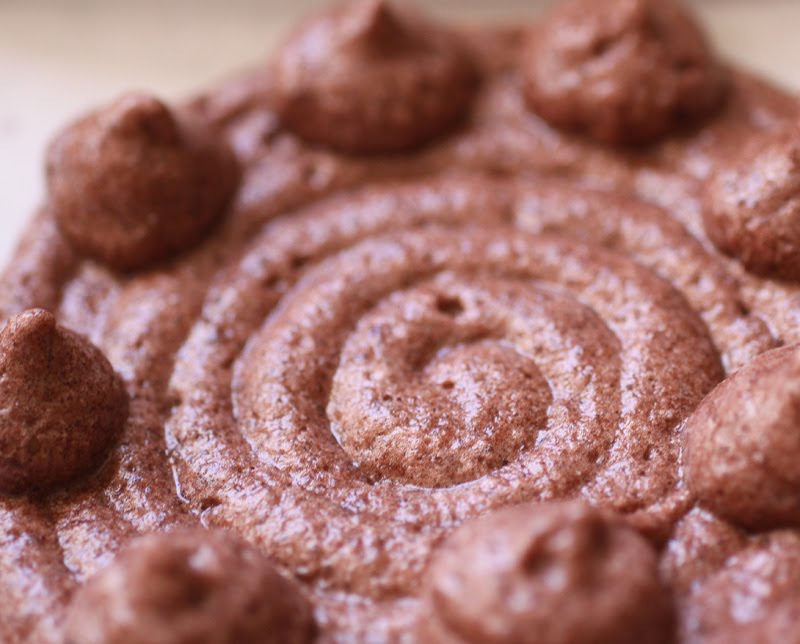 Seattle Pastry Girl: Chocolate with Francois-Chocolate Dacquoises with ...