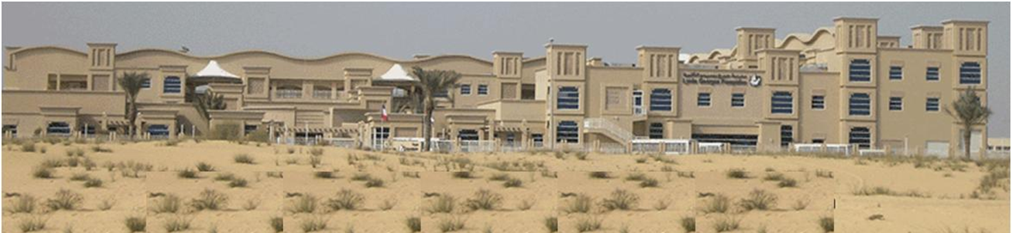 La Lettre du Conseil de Gestion du LFIGP - Dubai: 2010