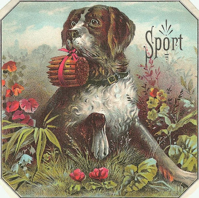 Magic Moonlight Free Images: Vintage dog Labels!
