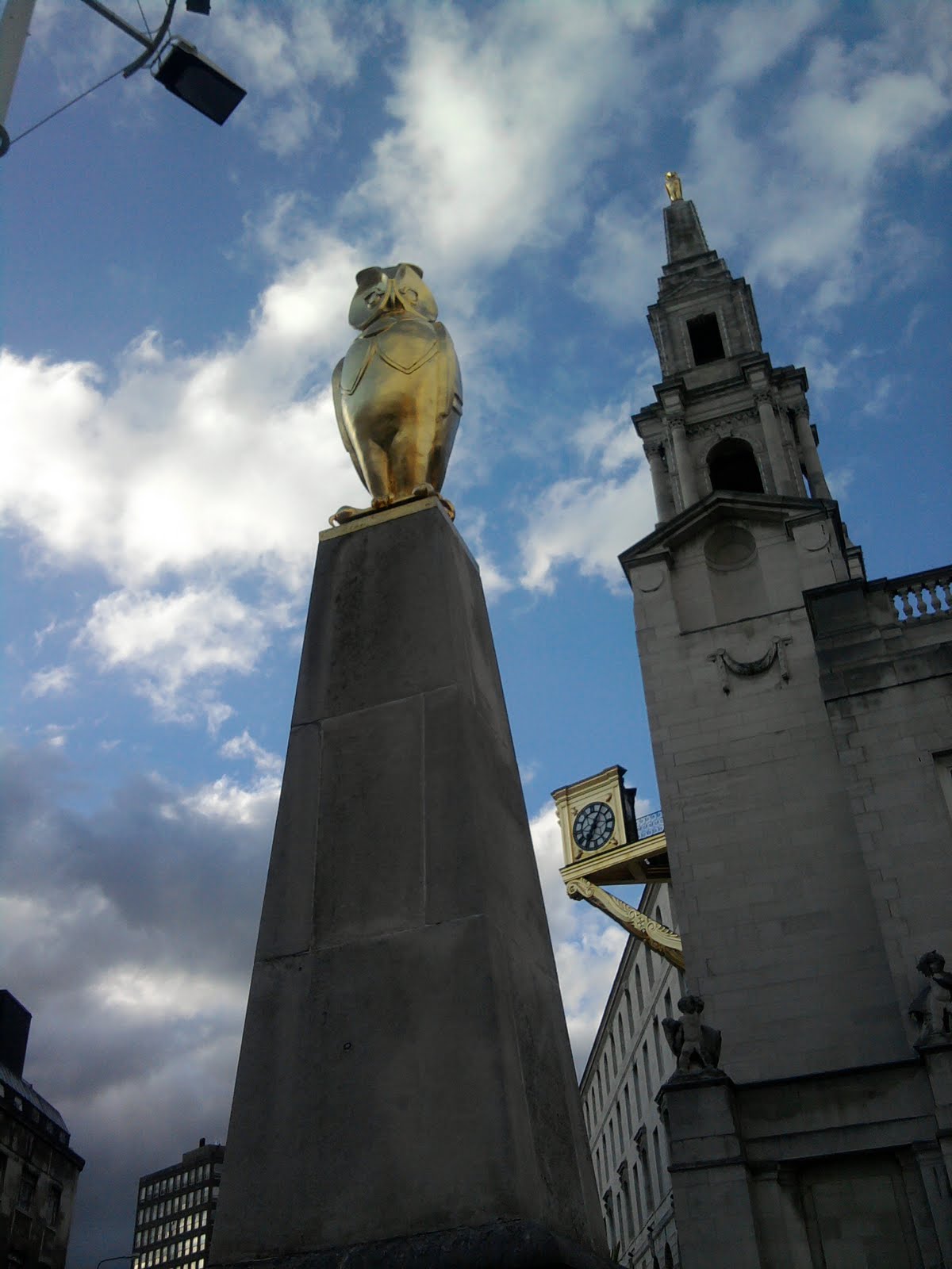 Particulations: An Unconventional Leeds Owl Trail