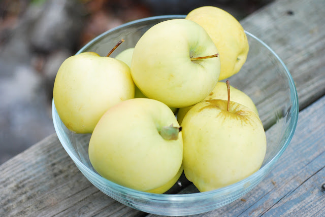 Know Whey: Apple Cinnamon Breakfast Cake