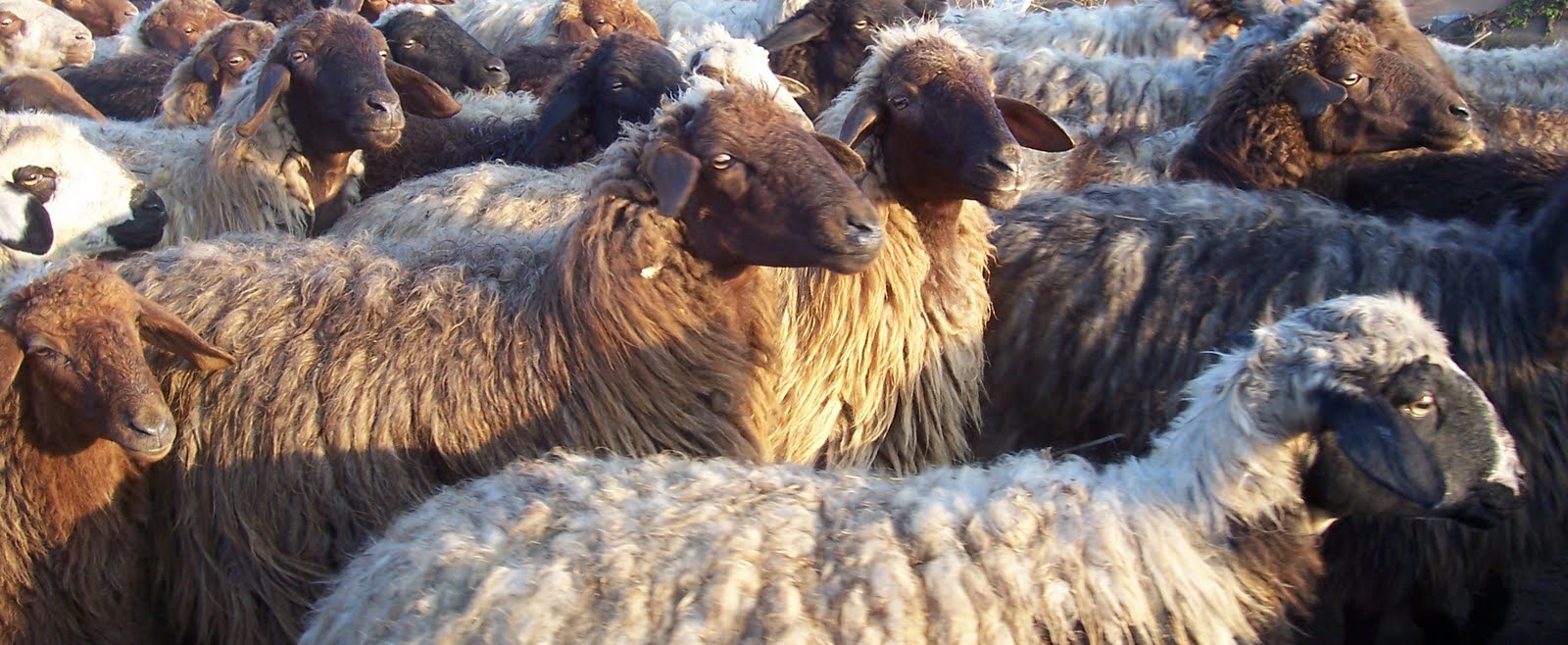 Expat Diaries: April 2010