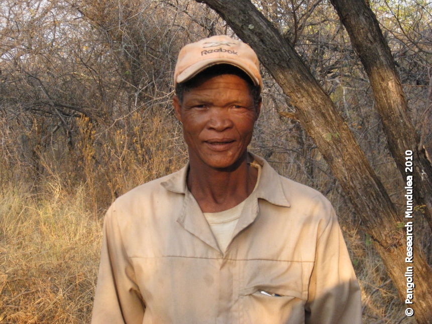 Pangolin Research Mundulea: Pangolin tracking in Mundulea- expert ...