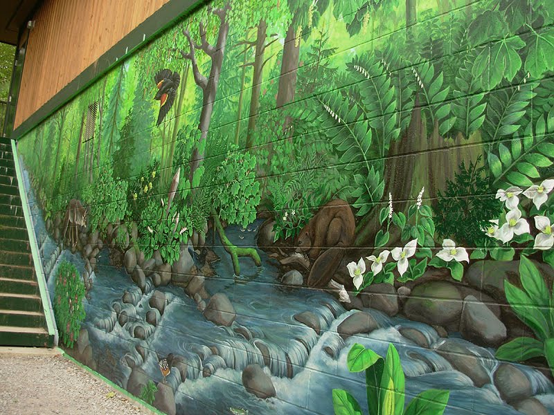 Artist Kim Hunter's Blog Vancouver BC Canada: Wildlife Mural - Salmon ...