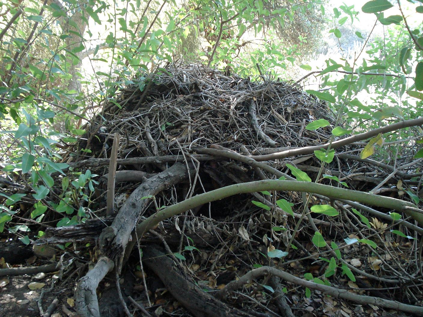 Laguna Coast Wilderness Park