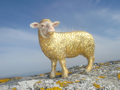 deirdre nelson: July 2008