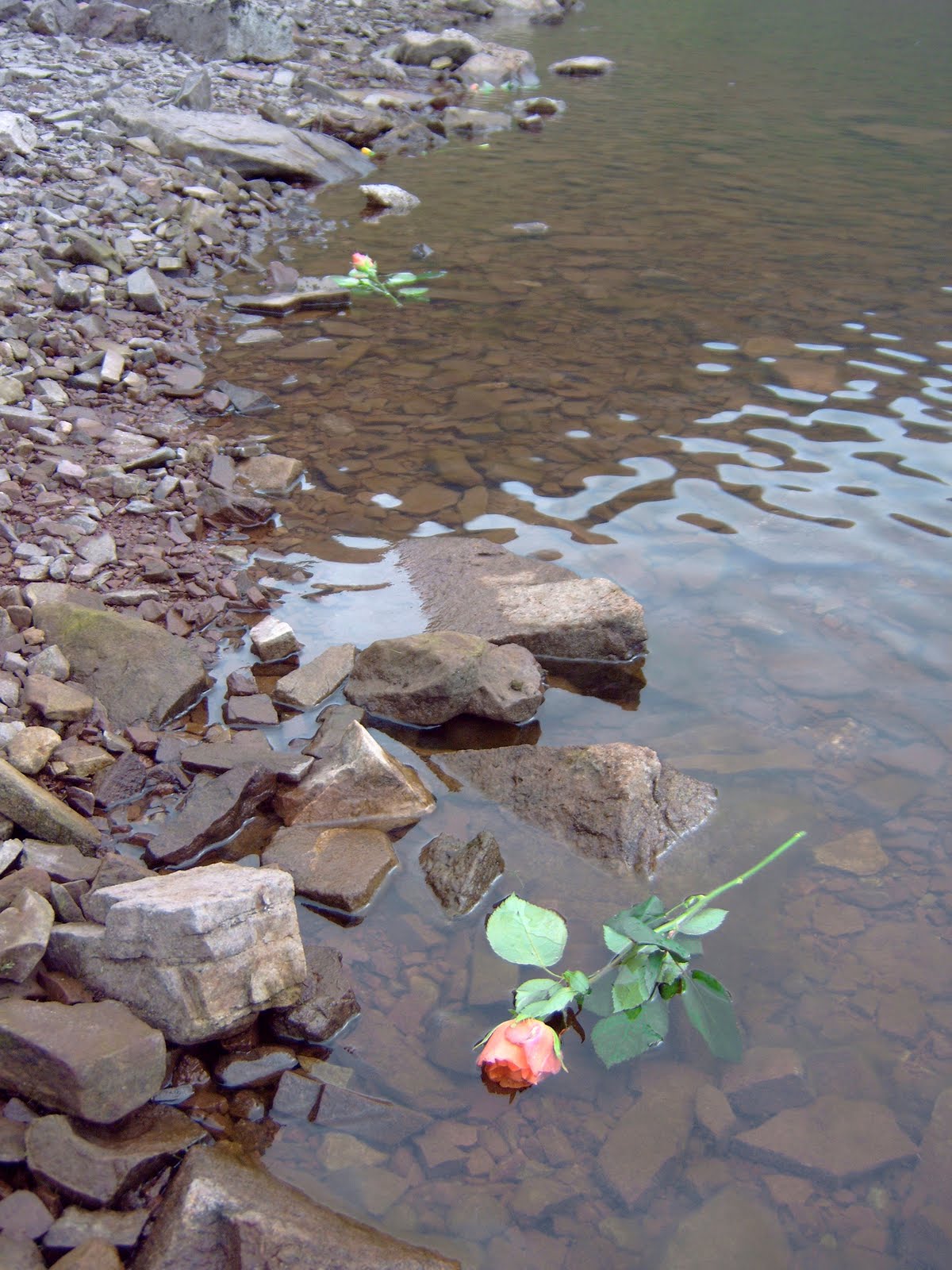 Tales from the Faerie Trails: the lady of llyn-y-fan fach