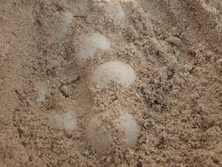 Experiencing Exposure: The Real Salt Life