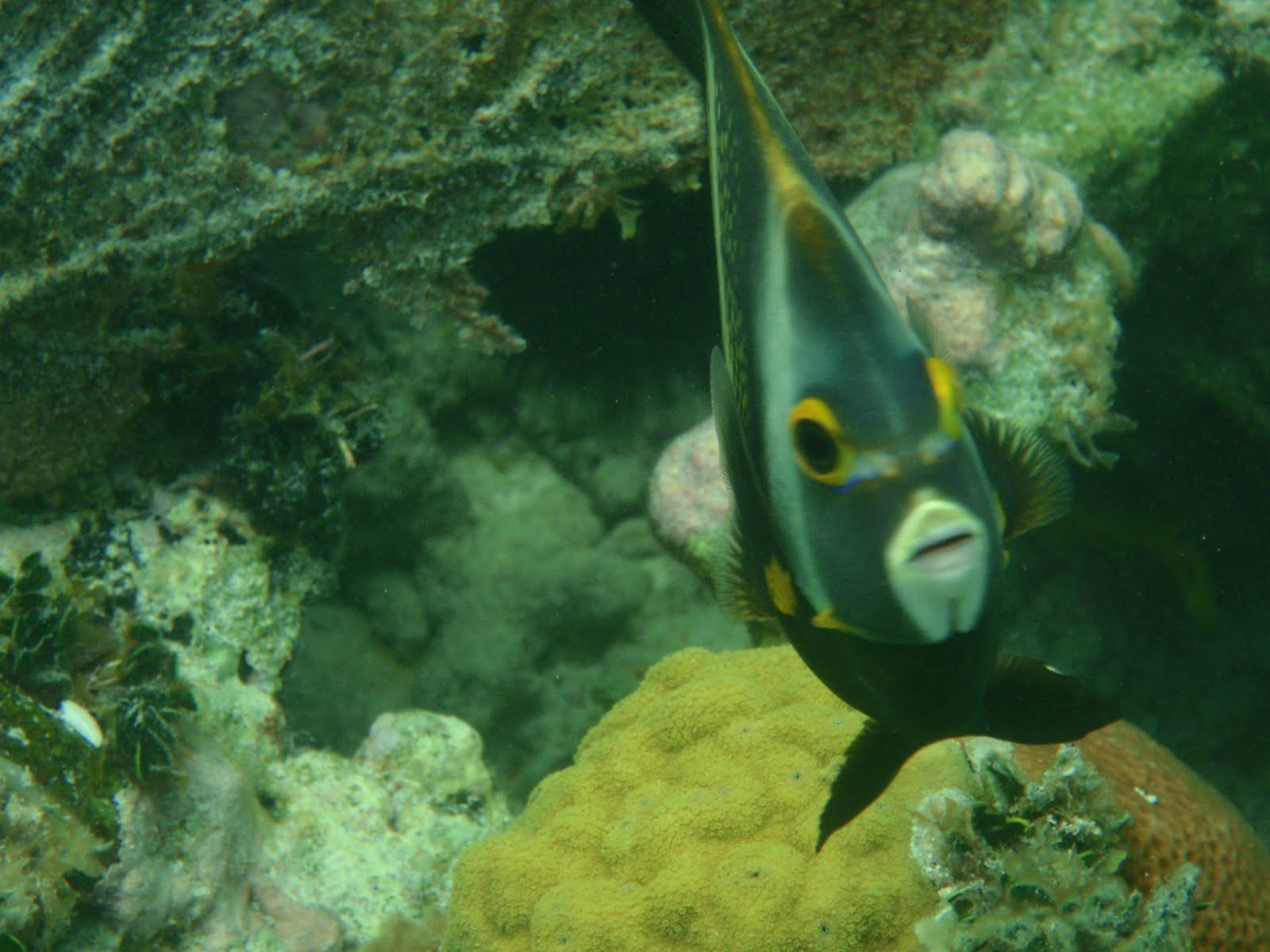 Experiencing Exposure: The Real Salt Life