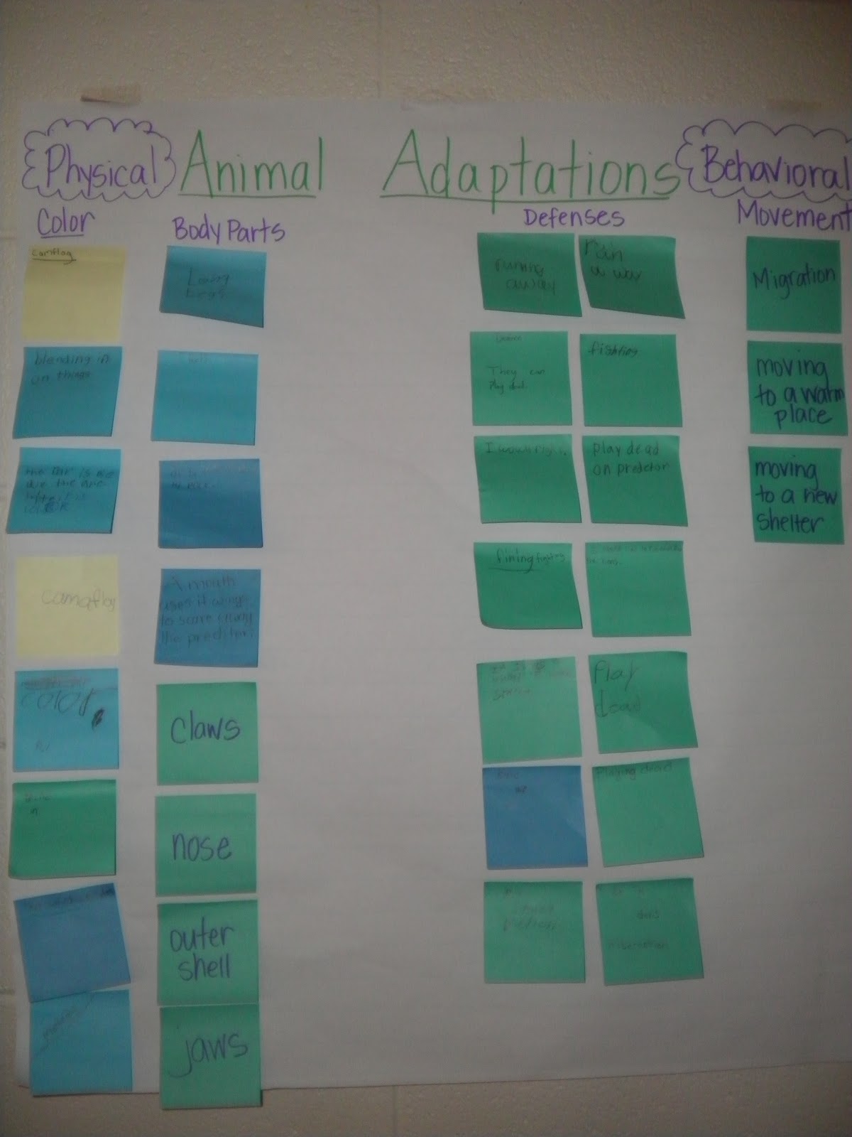 Ginger Snaps: Tool of the Week: Affinity Diagrams