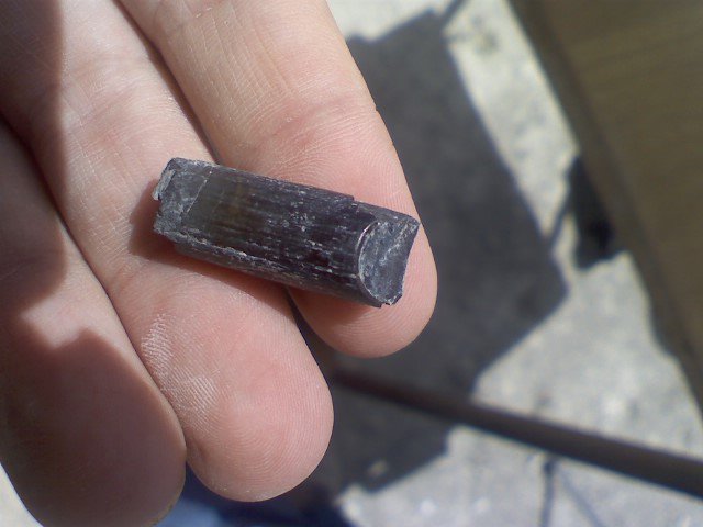 Dinochick Blogs: 2010