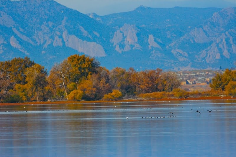 Colorado Lifestyle: Barr Lake