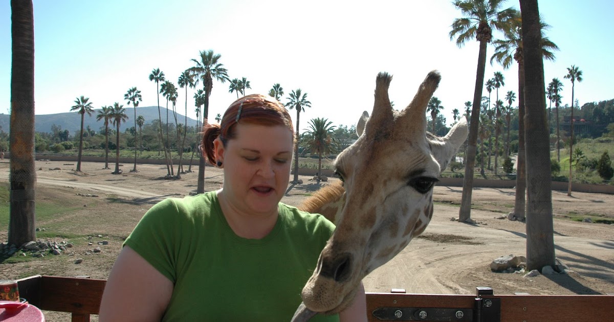 Musings of the Mammoth: Feeding giraffes, rhinos, and mammoths