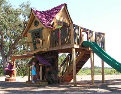 Sunday Morning Blog: Dog Mansions and Tree Houses