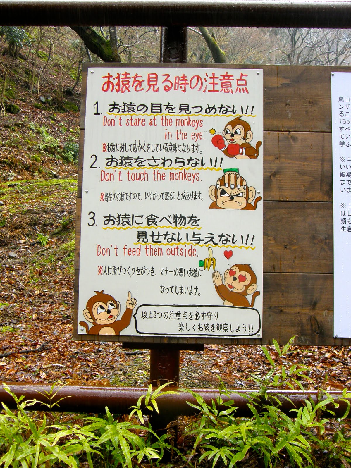 Princess and the Pea: My Japanese Top 10