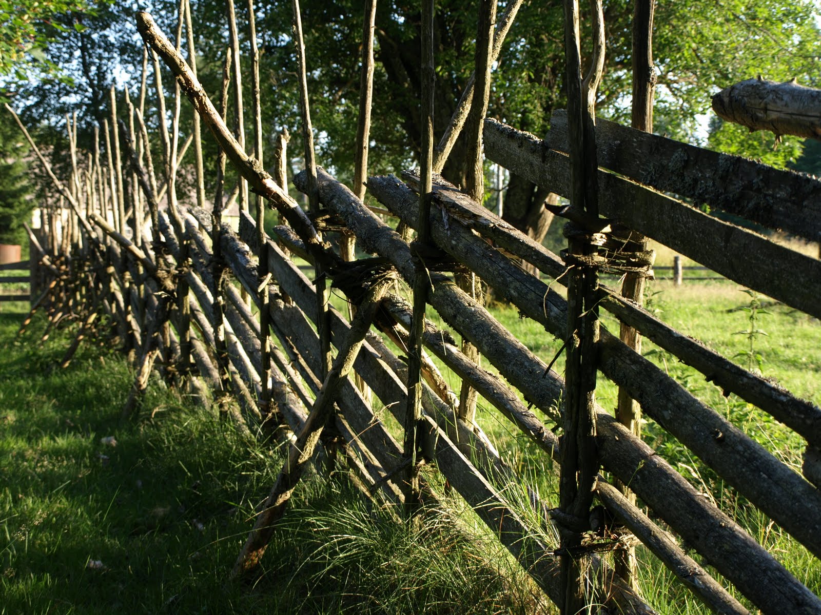 Pulleritsu/Scanpixi spordiblogi: Pullerits: Kuidas ma Võru rattarallil ...