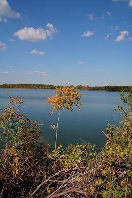 BOHEMIAN adventures: Land of the Lost