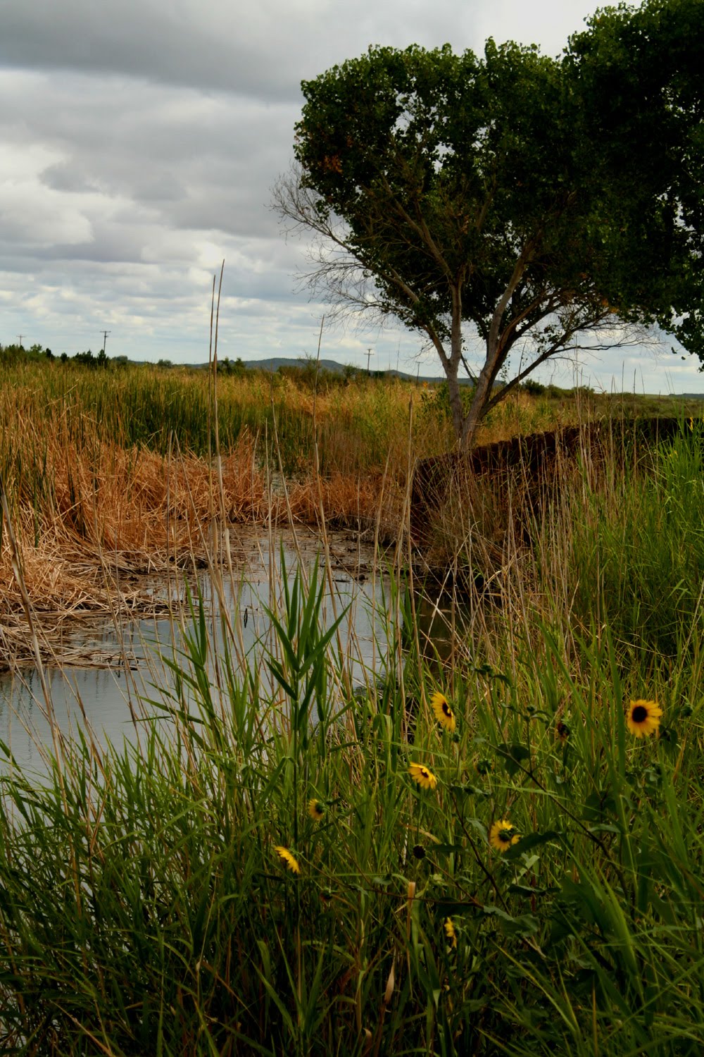 BOHEMIAN adventures: Memories of West Texas heaven