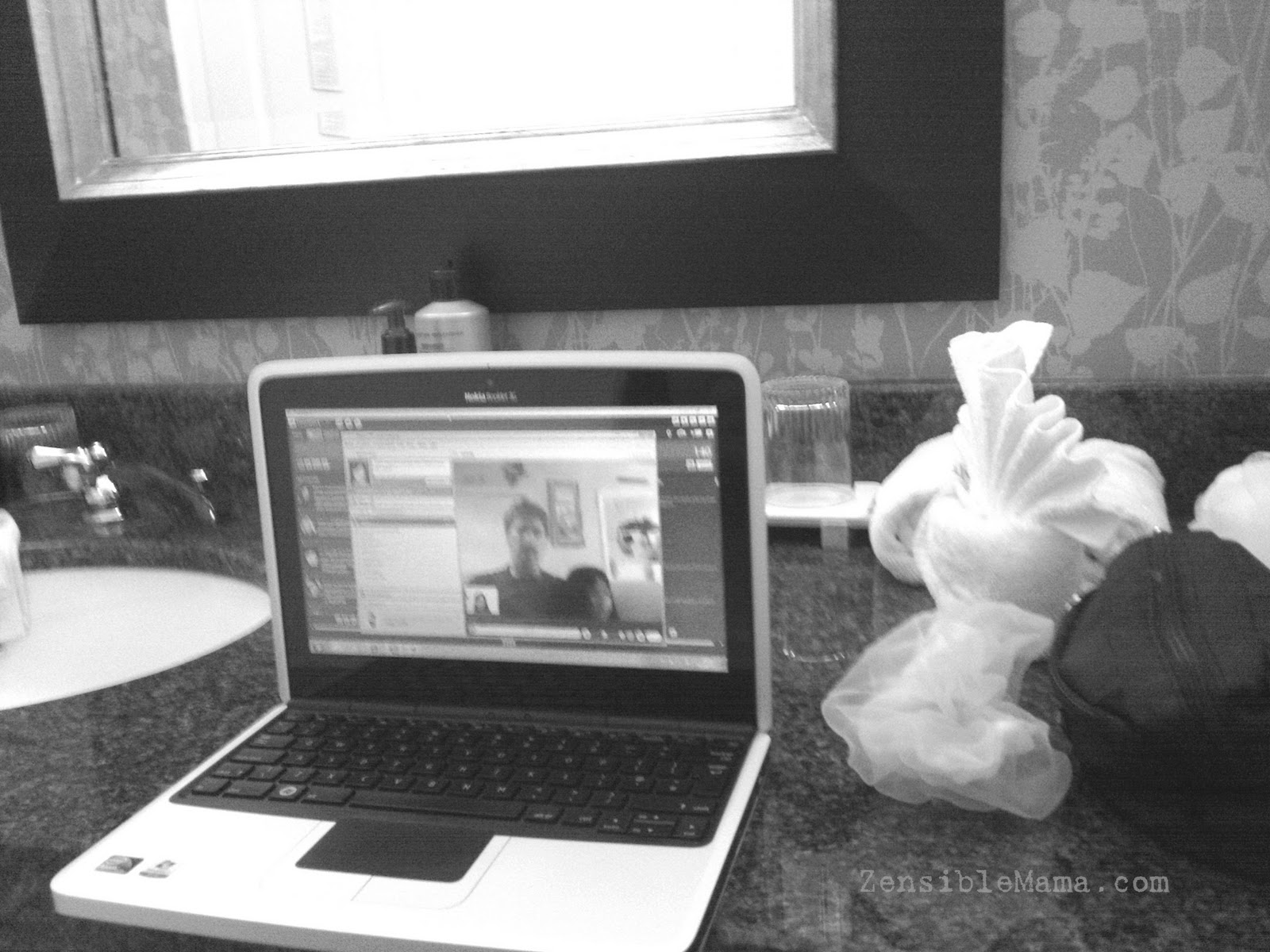 Zensible Mama: Skyping In The Bathroom - How Skype Saved The Day {or ...