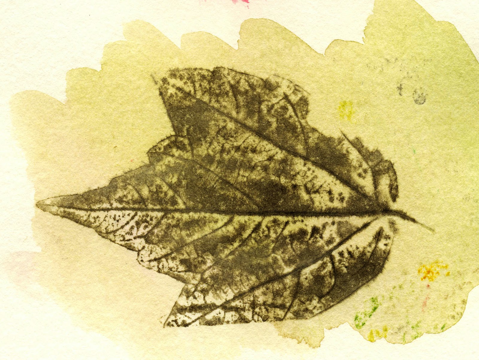 A Nature Art Journal: More leaf printing