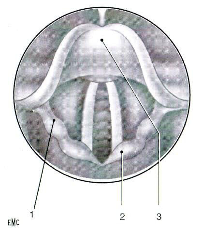 Taysir assistance الإسعاف الطبي تيسير: Glotte