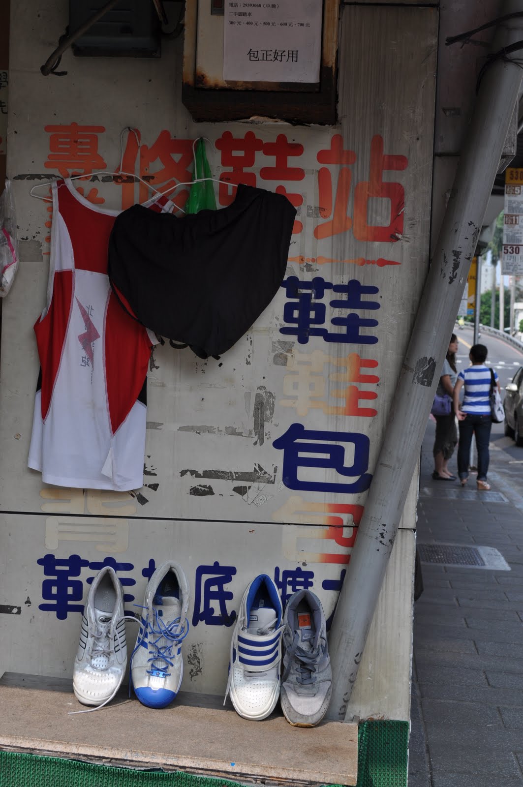 Lady The Tramp Travel Photos