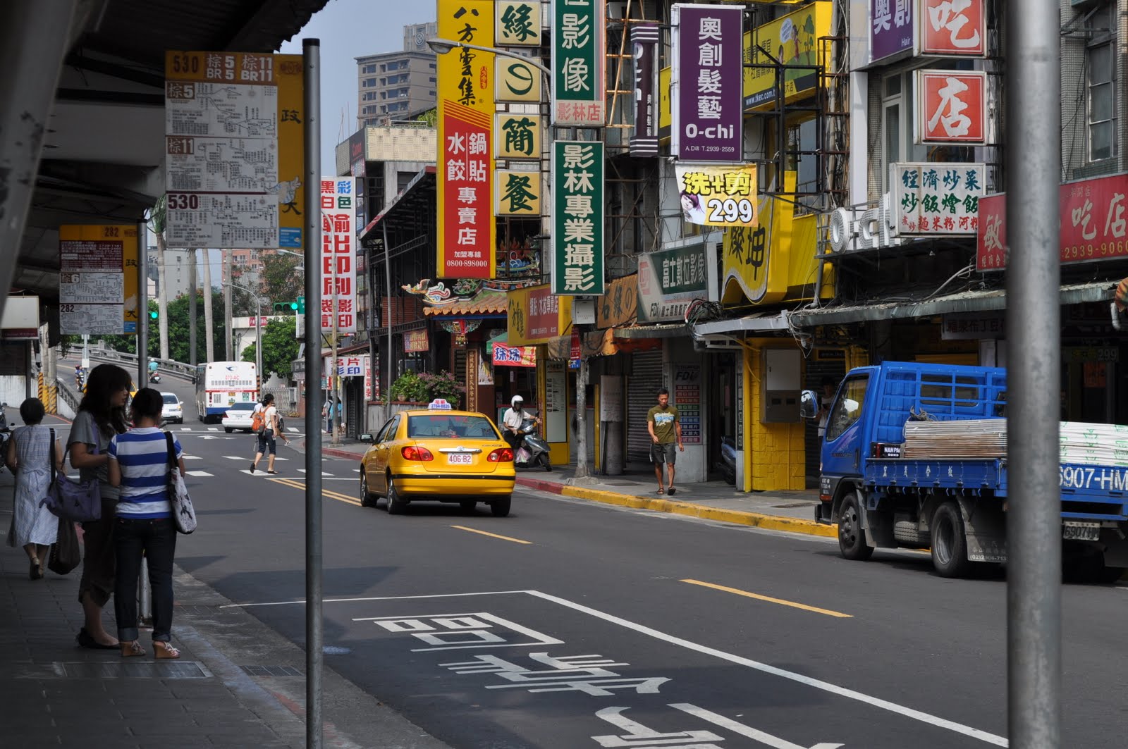 Lady The Tramp Travel Photos