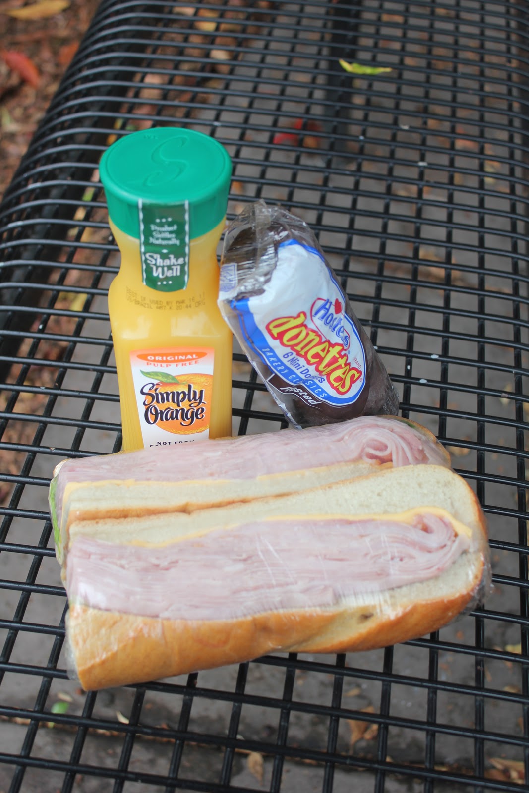 Across the States in 40 Days: Random Snaps