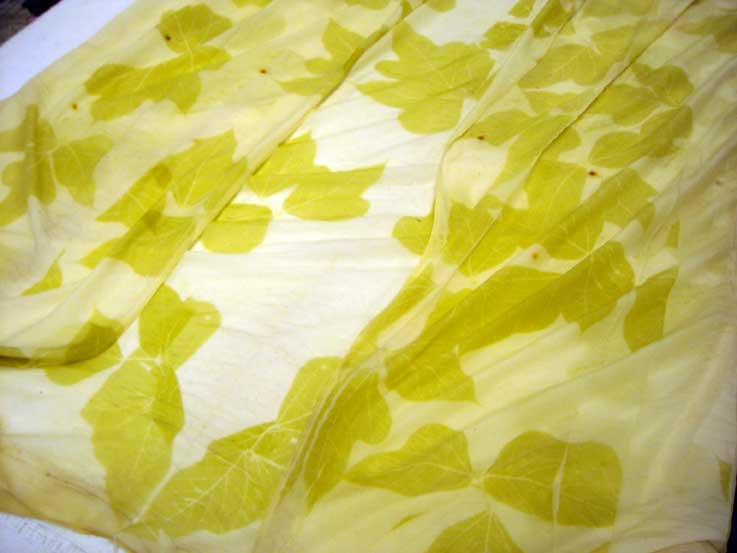 Christine Mauersberger: Do you Kudzu?