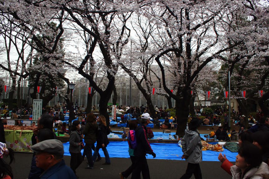 HONEYMOON IN JAPAN!: DAY 9: HANAMI PARTIES AND TRAVELING TO KOBE!